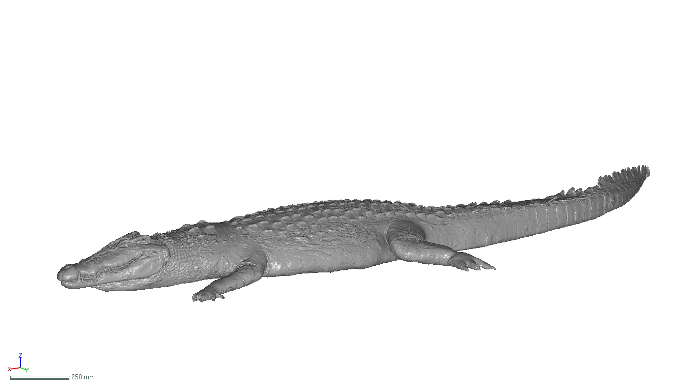 STL file Crocodile・3D print design to download・Cults