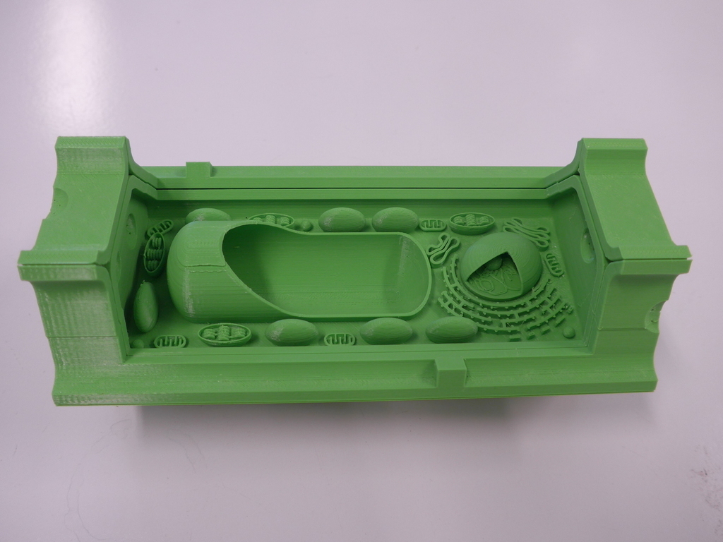 Free STL file Cellule végétale - Plant cell・Design to download and 3D ...