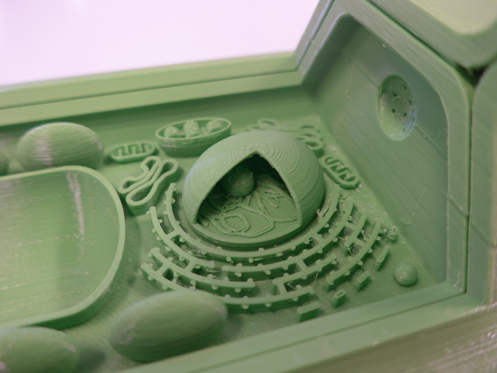 Free STL file Cellule végétale - Plant cell・Design to download and 3D ...