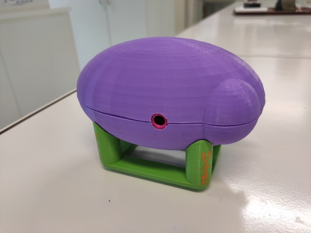 Free STL file Ovaire - Ovary 🎒・Object to download and to 3D print・Cults