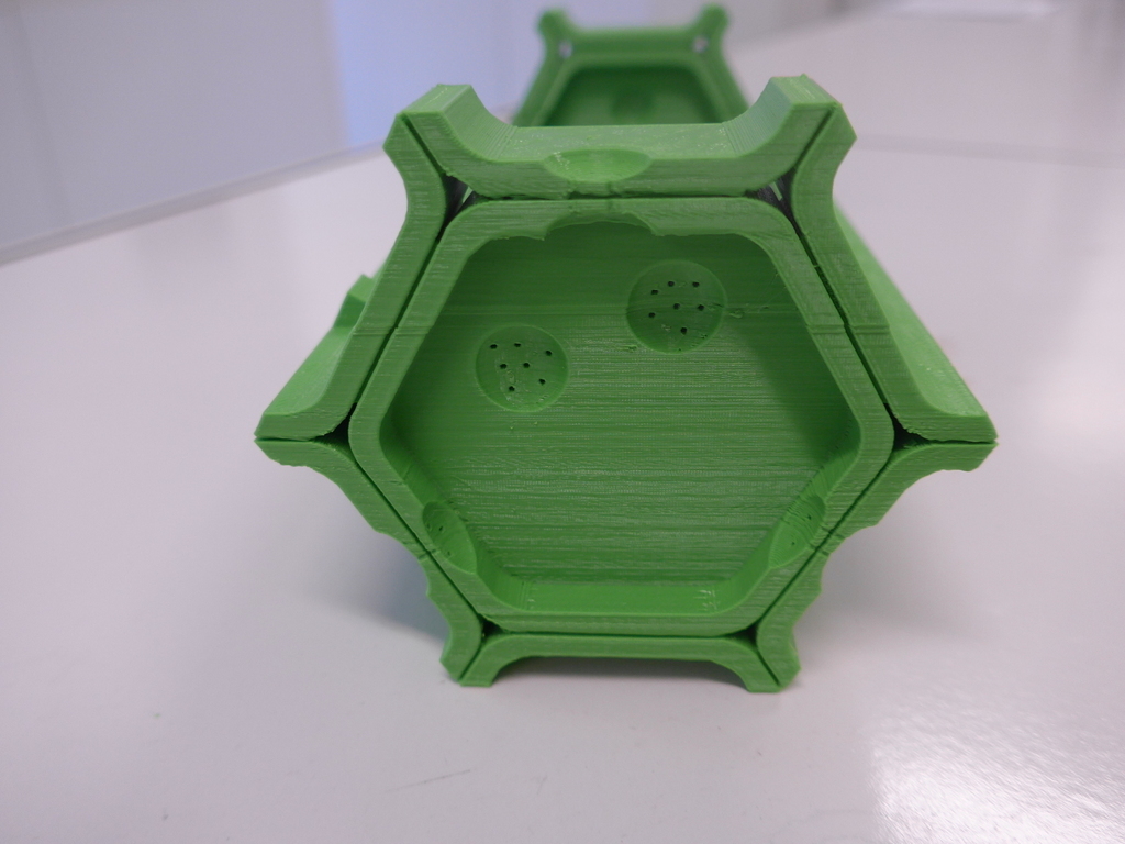 Free STL file Cellule végétale - Plant cell・Design to download and 3D ...