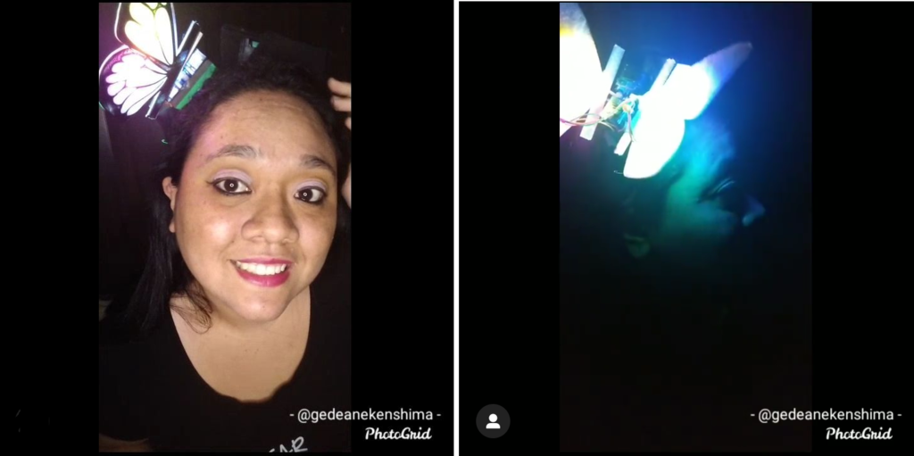 Free STL file Firely Fly (Brabuleta V2)・3D printable model to download・Cults