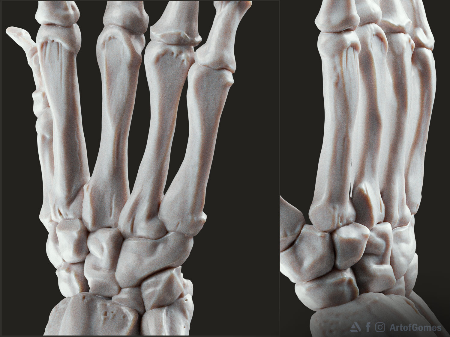 Free STL file BONE・Object to download and to 3D print・Cults