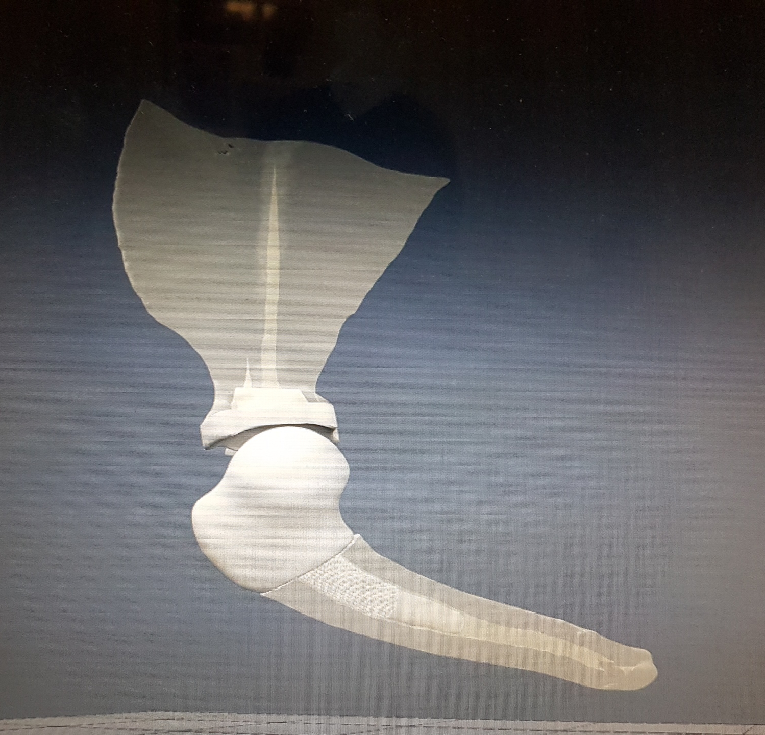 Free STL file Prosthetics of the cat's shoulder (an example of a real ...