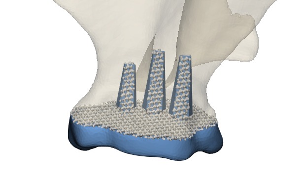 Free STL file Prosthetics of the cat's shoulder (an example of a real ...