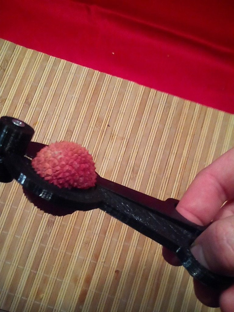 Fichier STL gratuit Ouvreur de litchi・Plan imprimable en 3D à ...