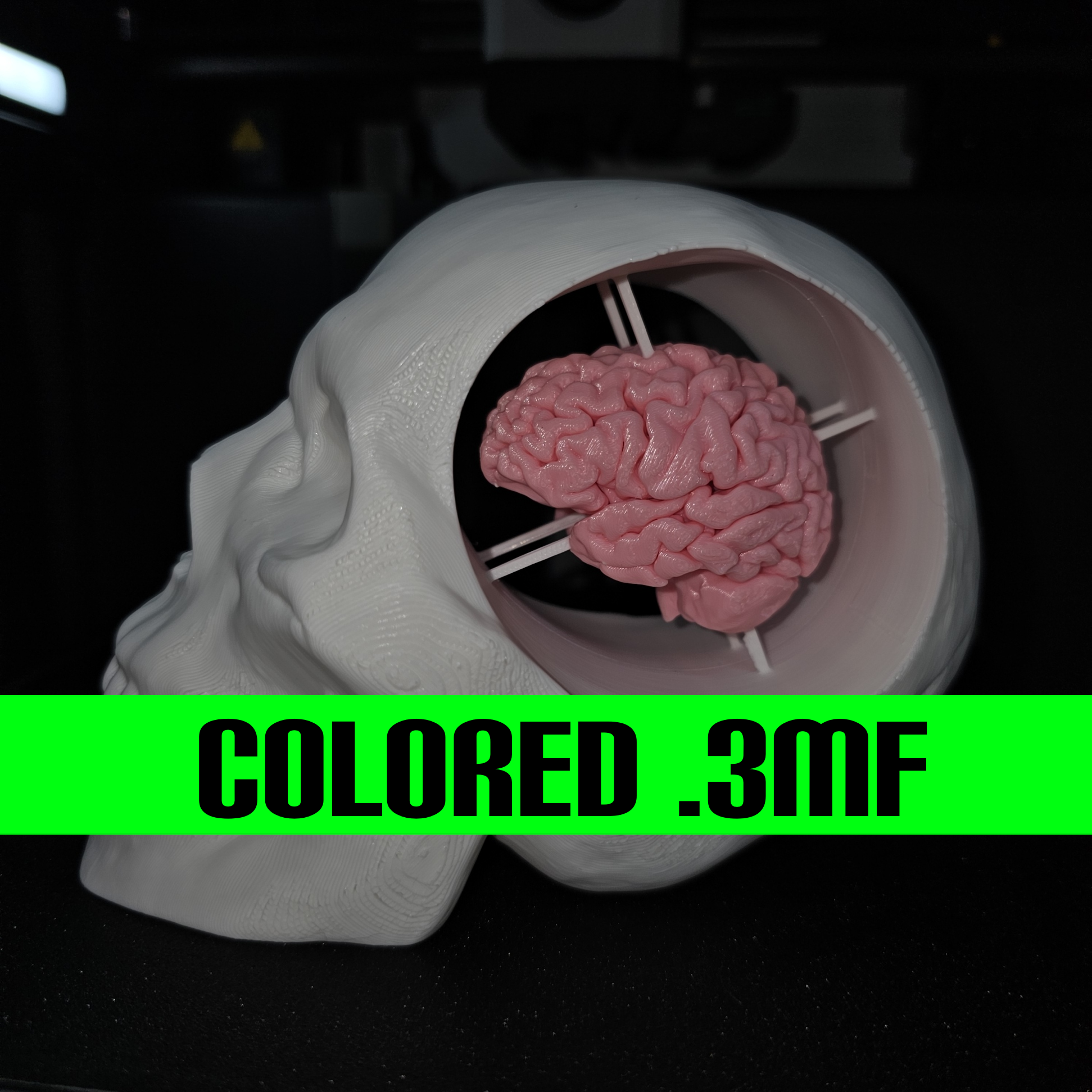 Free 3D file Skull with brain Colored 💀・3D printable design to download ...