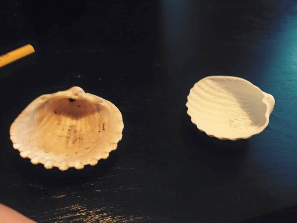 Free STL file Sea shell 🐚・3D printing idea to download・Cults