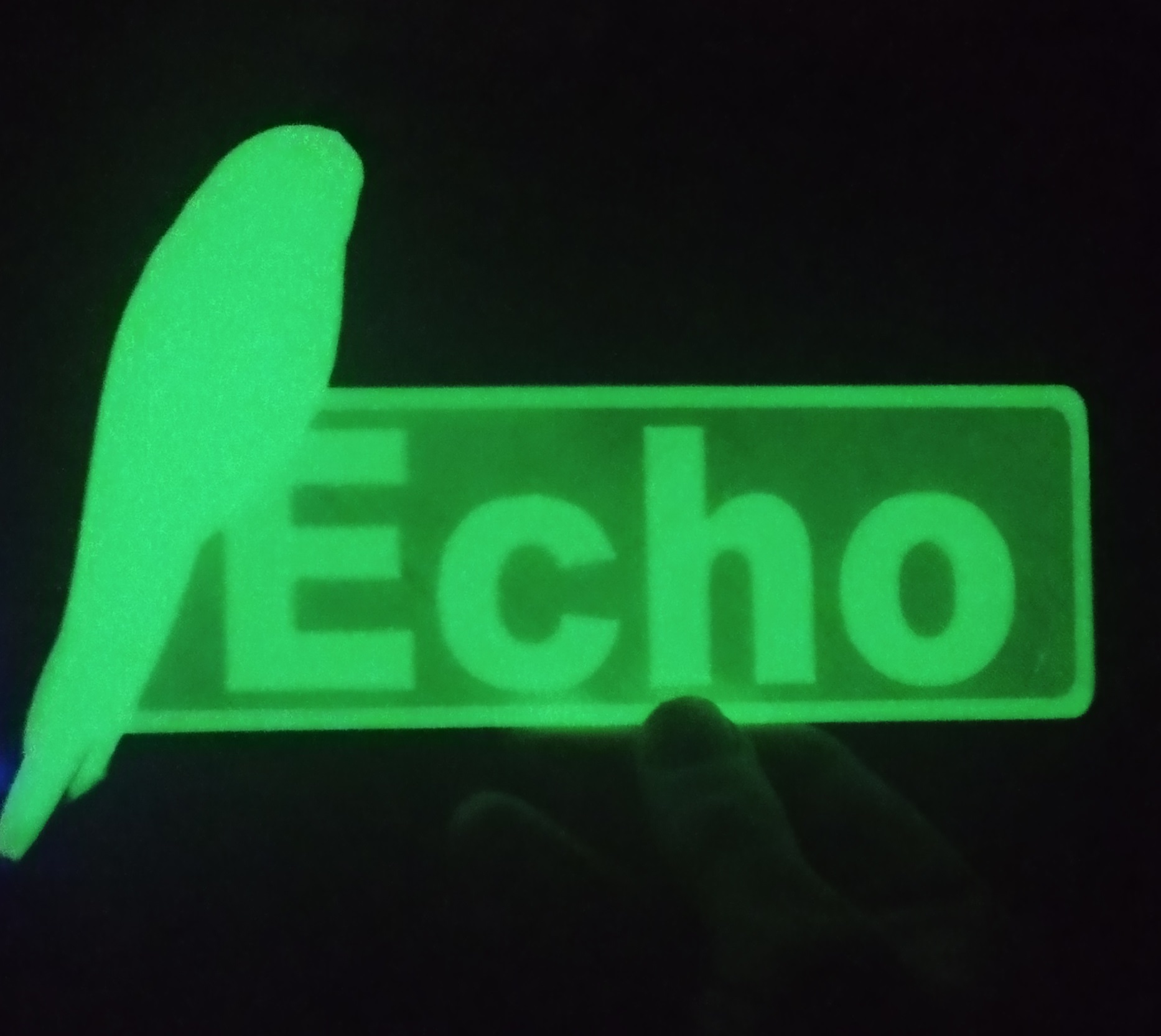 Archivo STL Placa de características de Echo Bird・Plan para descargar y ...