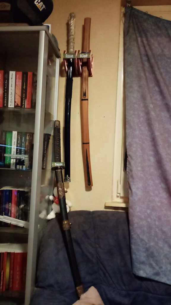 Free 3D file Sword-Carrier 🗡️・3D printing template to download・Cults