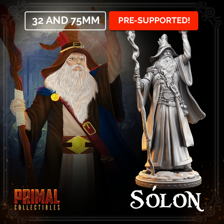 3D file Wizard - Sólon (the wiser) (Dungeons and Dragons | Hero Quest ...