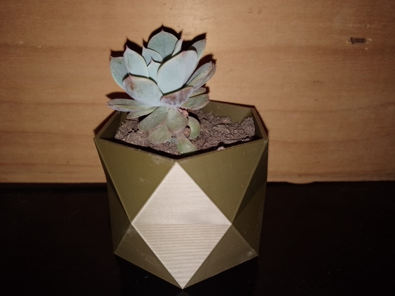 Free STL file Simple polygon pot・3D printer design to download・Cults