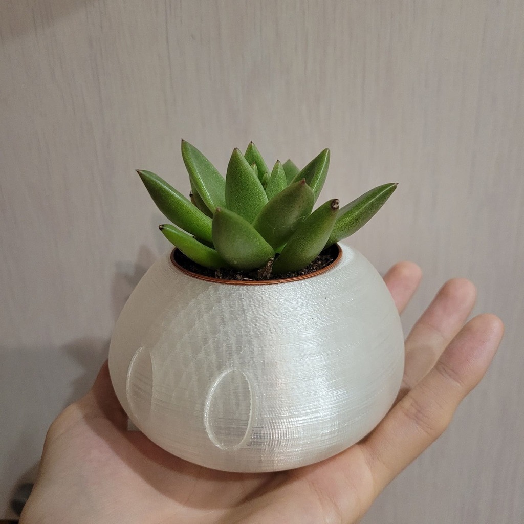 Free 3D file Genshin Impact - Dendro slime pot・3D printer design to ...