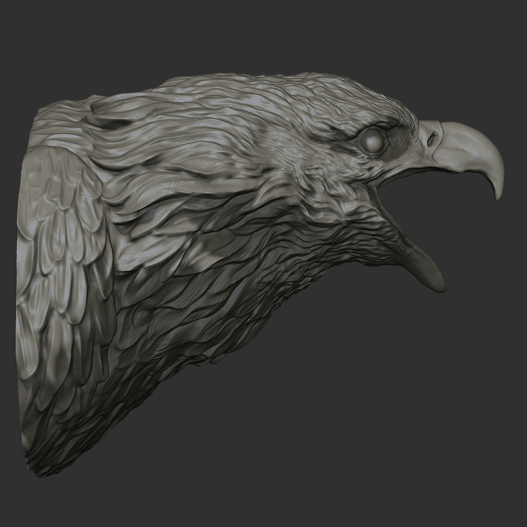 STL file Bald Eagle head・Model to download and 3D print・Cults