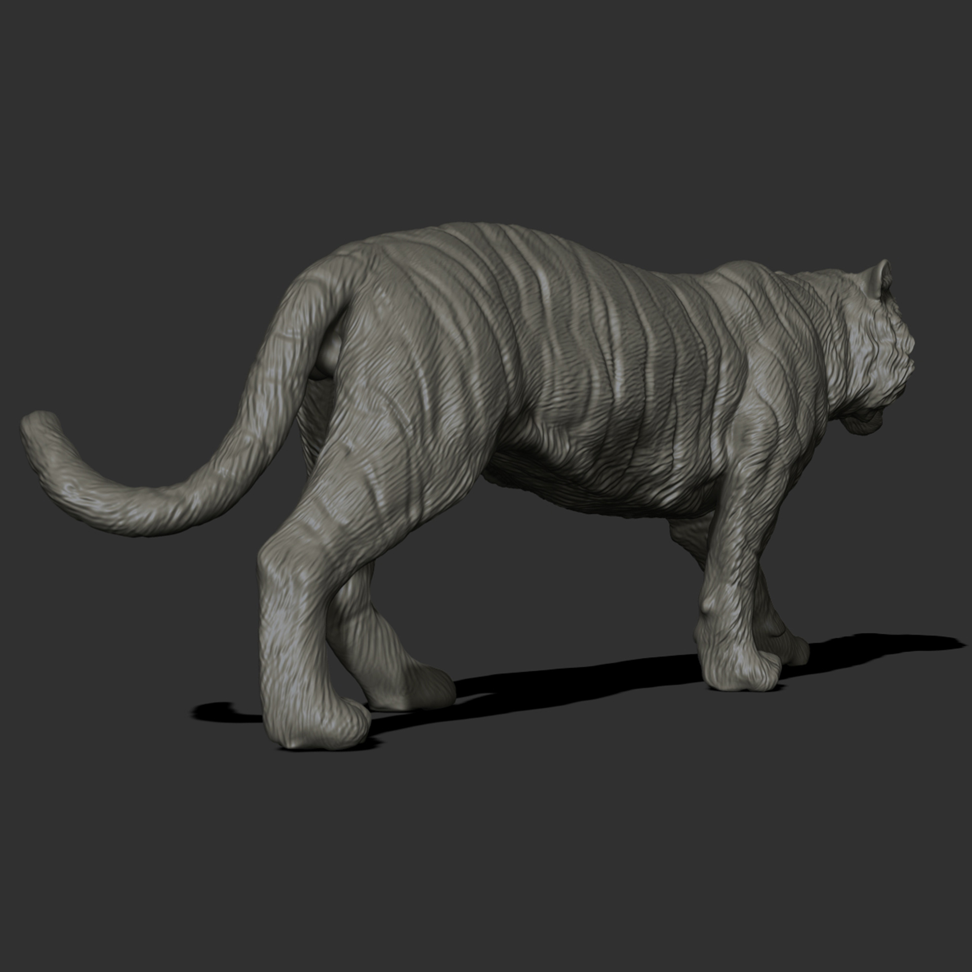 STL file Tiger walking 🐅・3D printer design to download・Cults