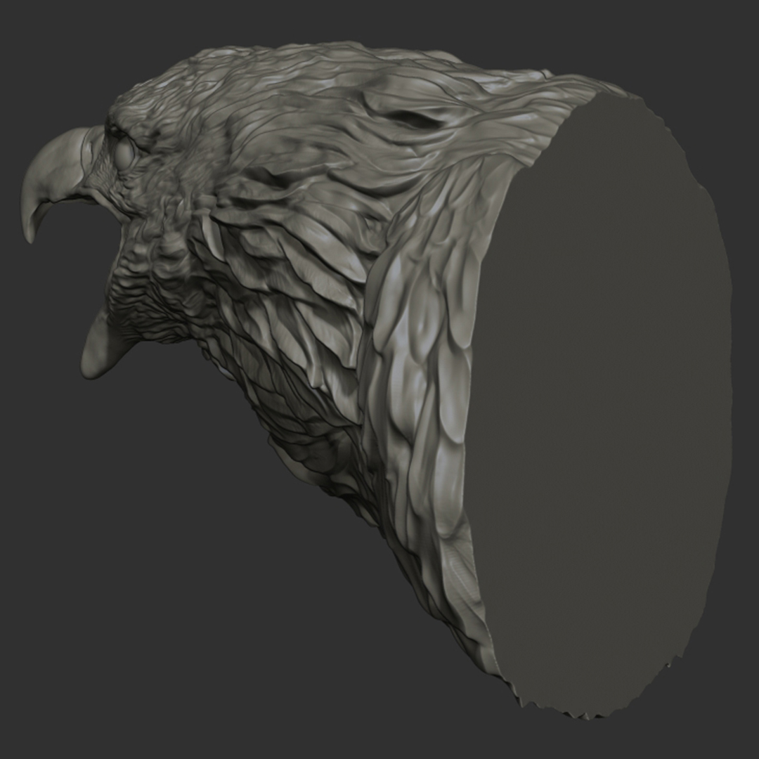 STL file Bald Eagle head・Model to download and 3D print・Cults