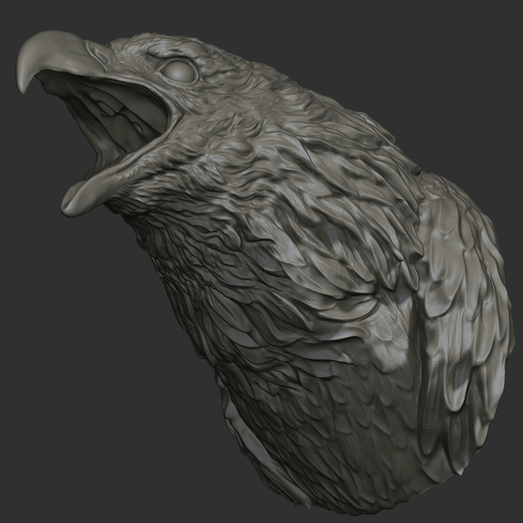 STL file Bald Eagle head・Model to download and 3D print・Cults