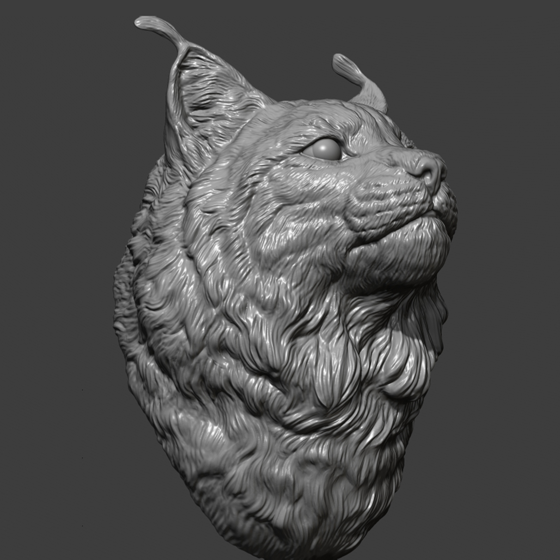 STL file Lynx head 🗿・Design to download and 3D print・Cults