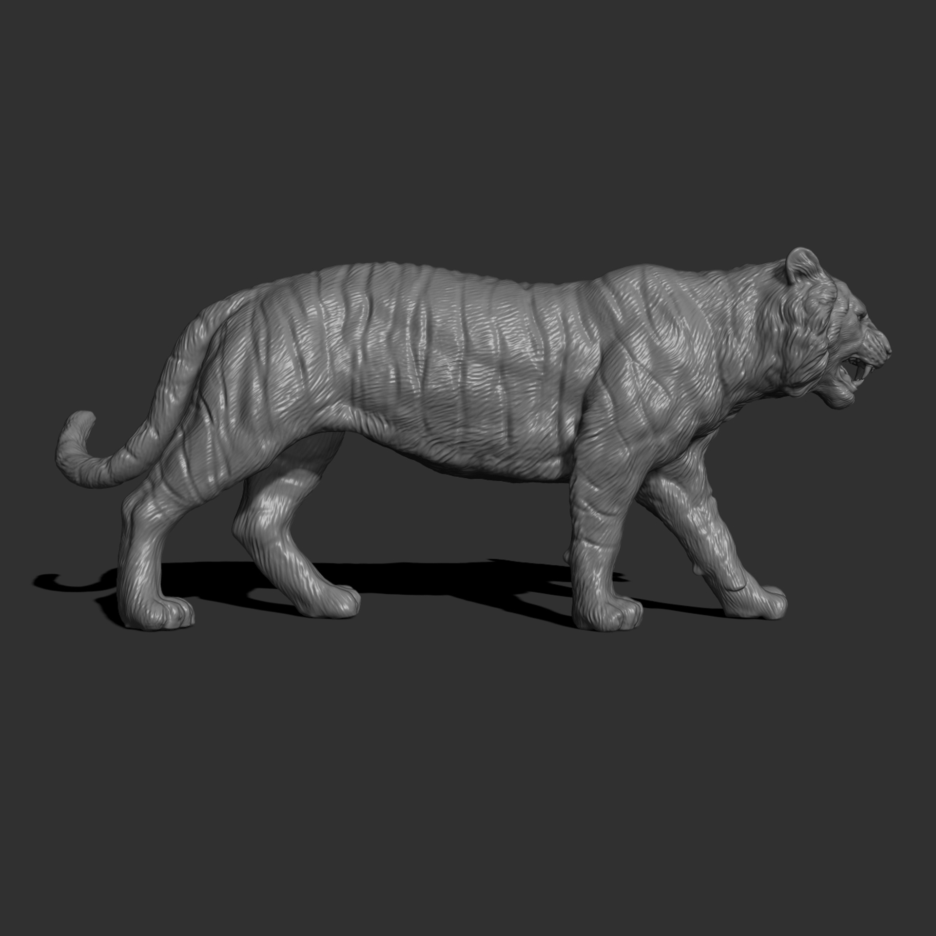 STL file Tiger walking 🐅・3D printer design to download・Cults