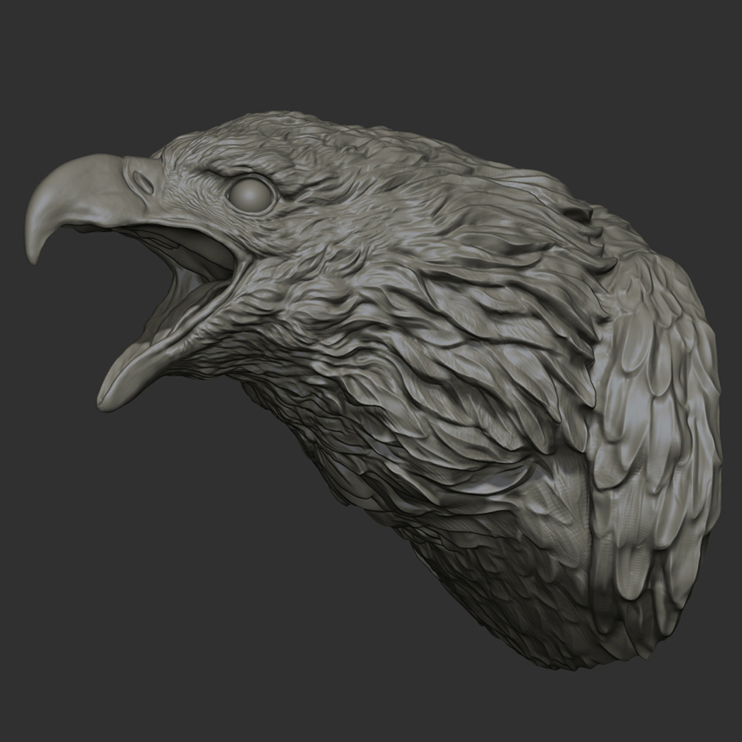 STL file Bald Eagle head・Model to download and 3D print・Cults