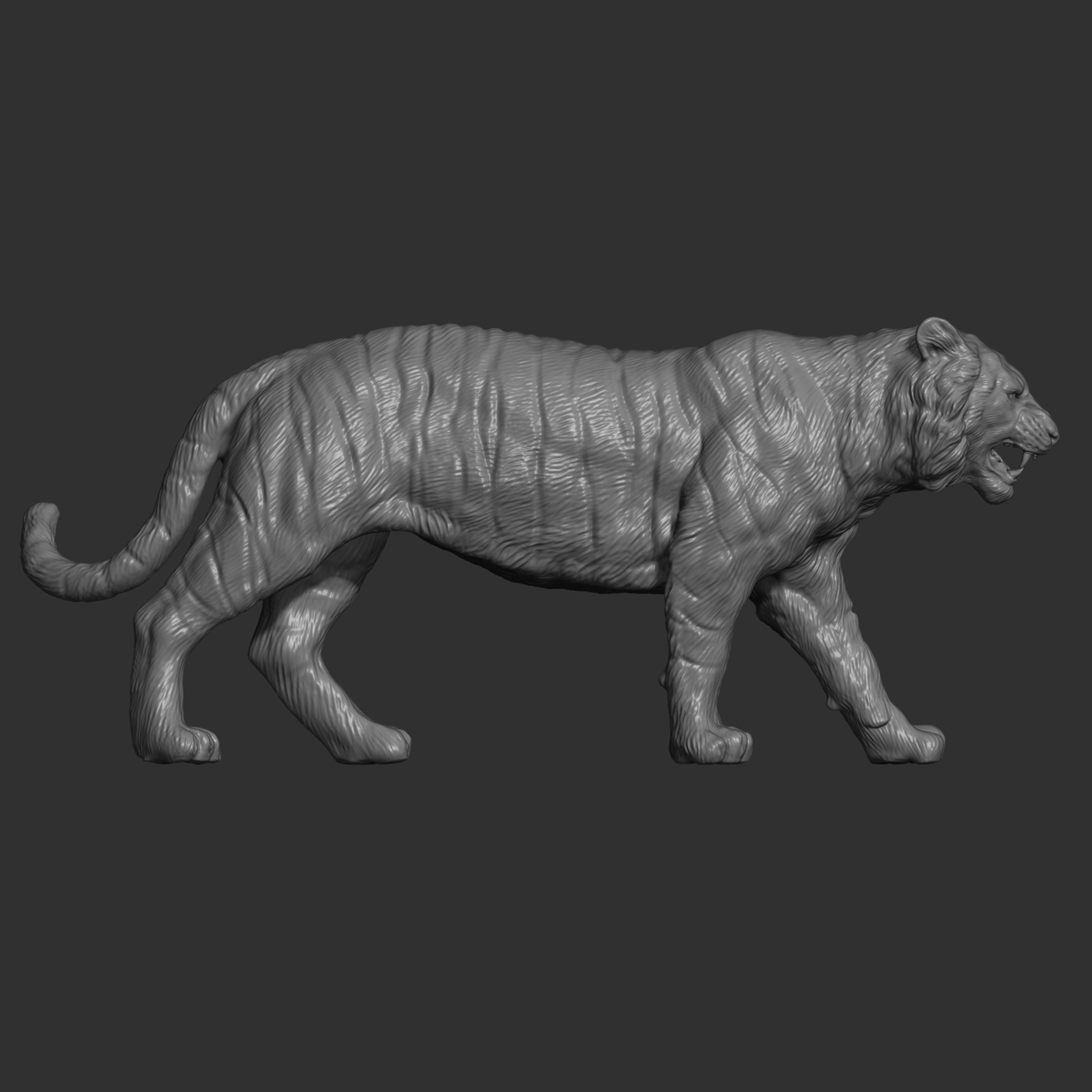 STL file Tiger walking 🐅・3D printer design to download・Cults