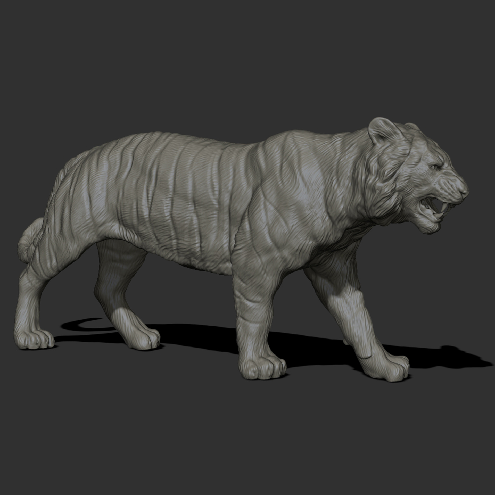 STL file Tiger walking 🐅・3D printer design to download・Cults