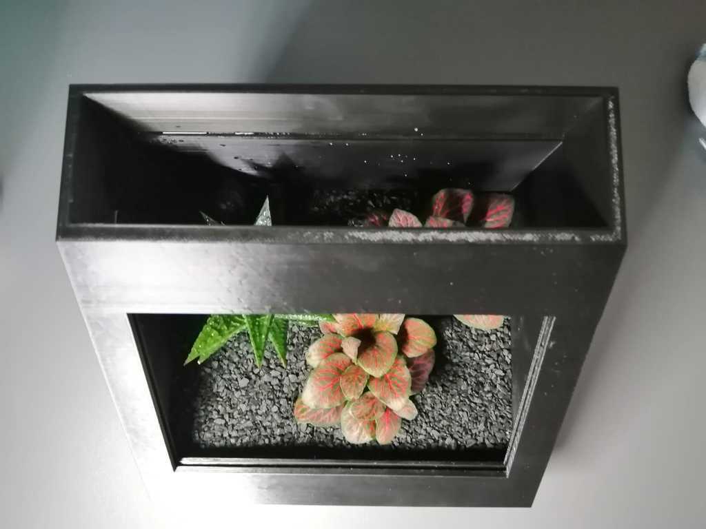 Free STL file Plant terrarium・3D printable object to download・Cults