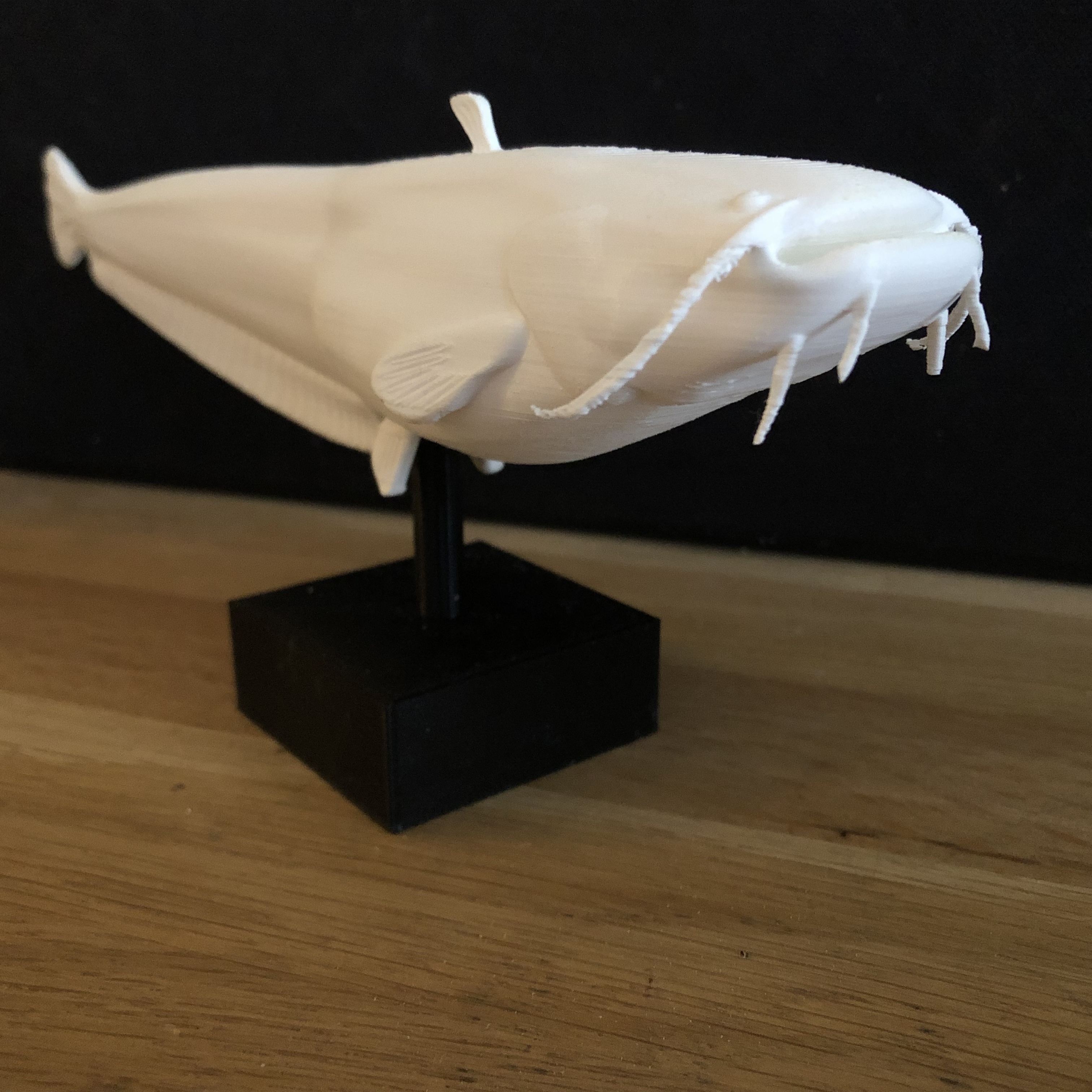 STL file Catfish on (optional) pedestal・3D printing template to ...