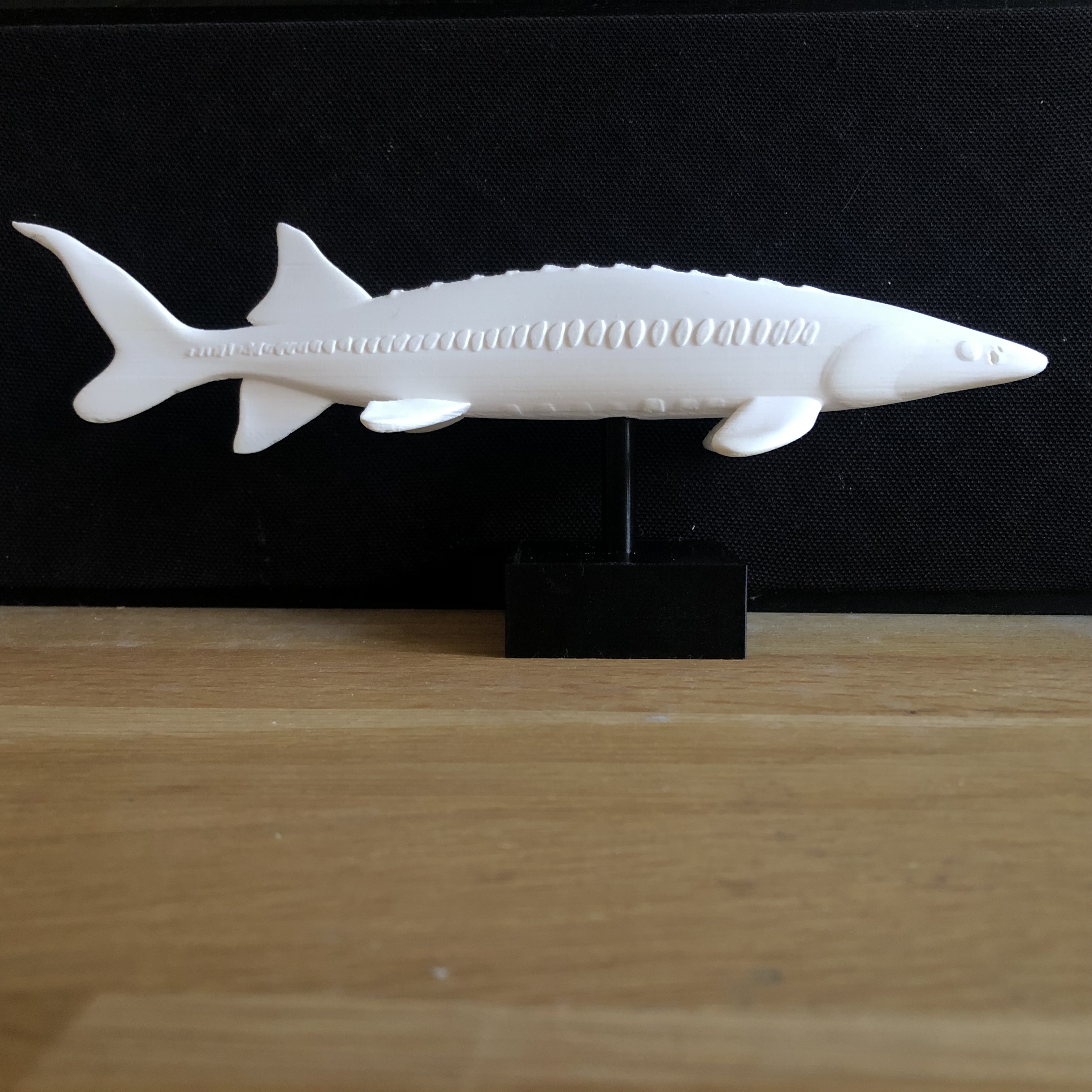 STL file White Sturgeon on (optional) pedestal・3D printing design to ...