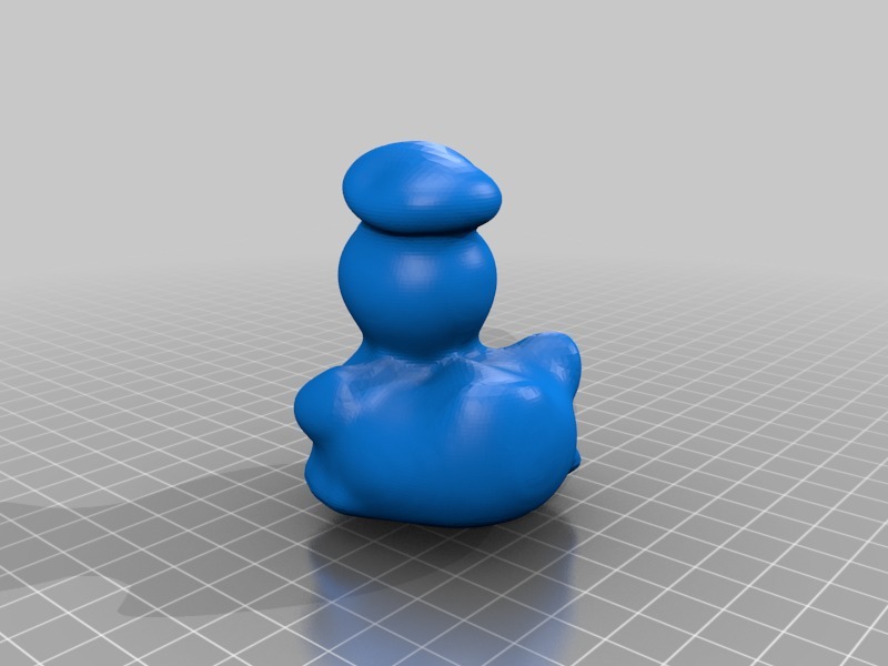 Free 3D file FabScanPi scanned rubber duck.・3D printing design to ...