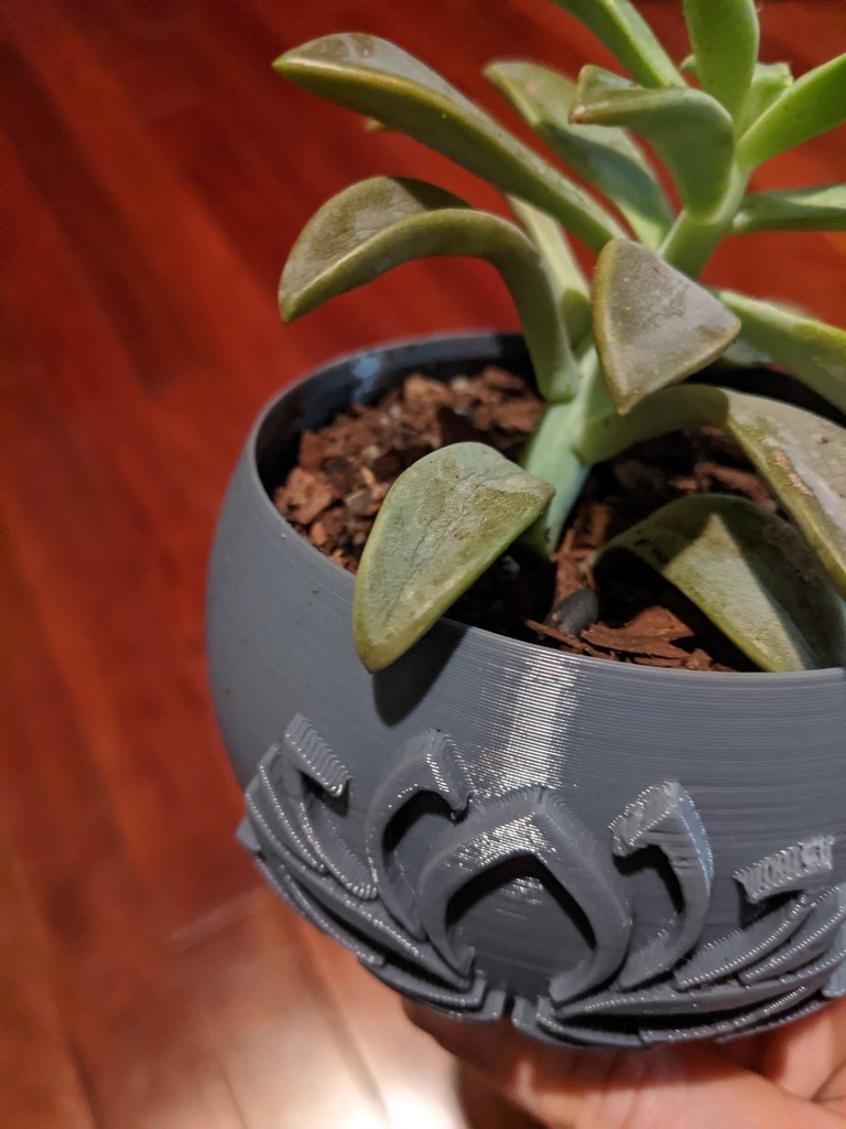 Free 3D file Succulent planter with drainage dish・3D printer model to ...