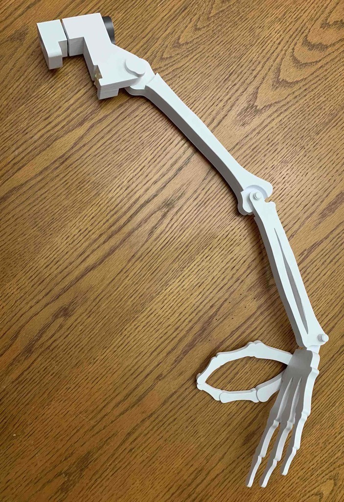 Free 3D file Skellie Helper - The Desk Clamp Skeleton Arm 🗜️・3D printer ...