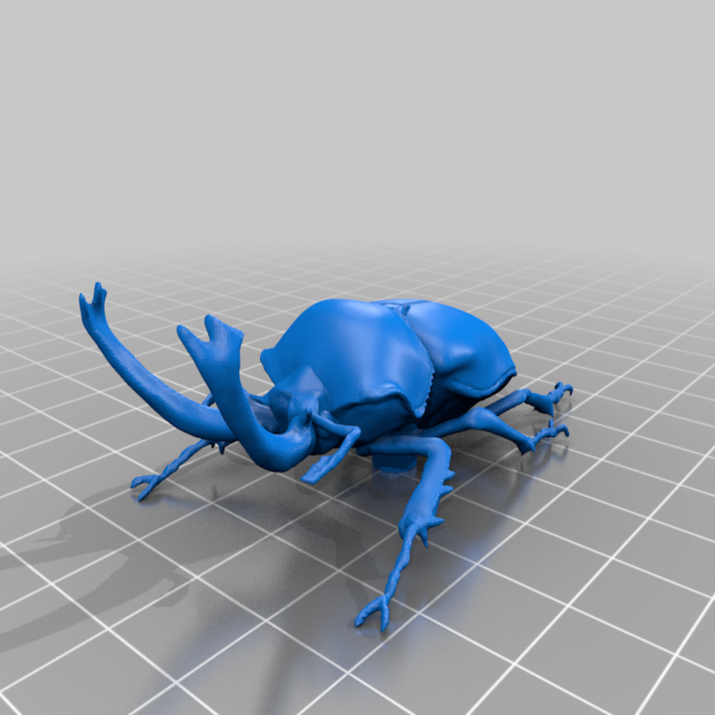 Free STL file Rainbow stag beetle (Phalacrognathus muelleri) 🌈・3D print ...