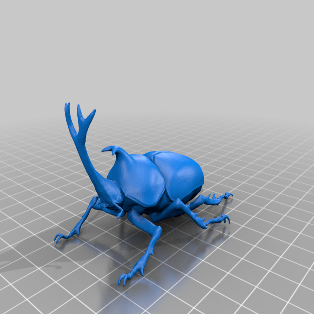 Japanese Rhinoceros Beetle