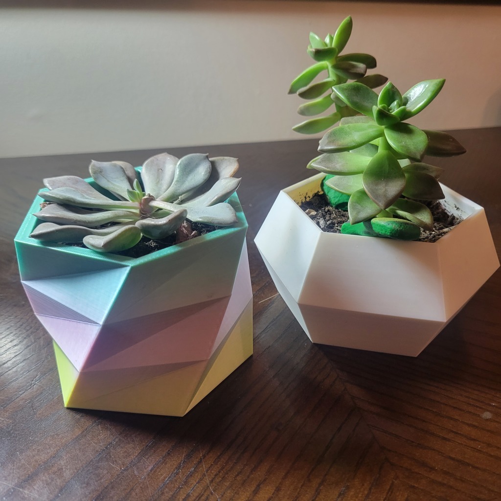 Free 3D file Succulent Pots・3D printing template to download・Cults