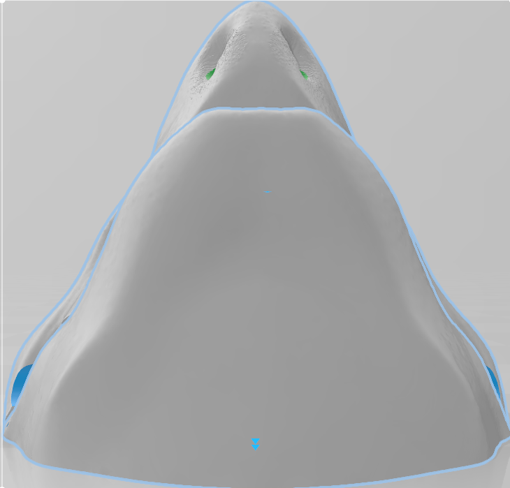 Free 3D file Free Shark Fursuit Headbase・3D print design to download・Cults