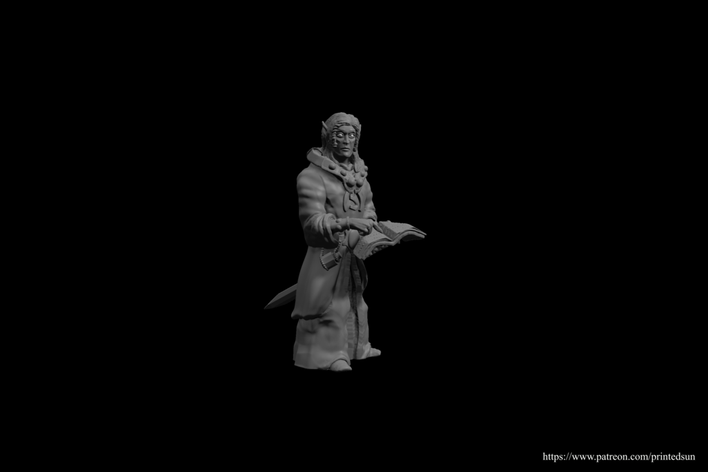 Free STL file Elf Mage・3D printing idea to download・Cults
