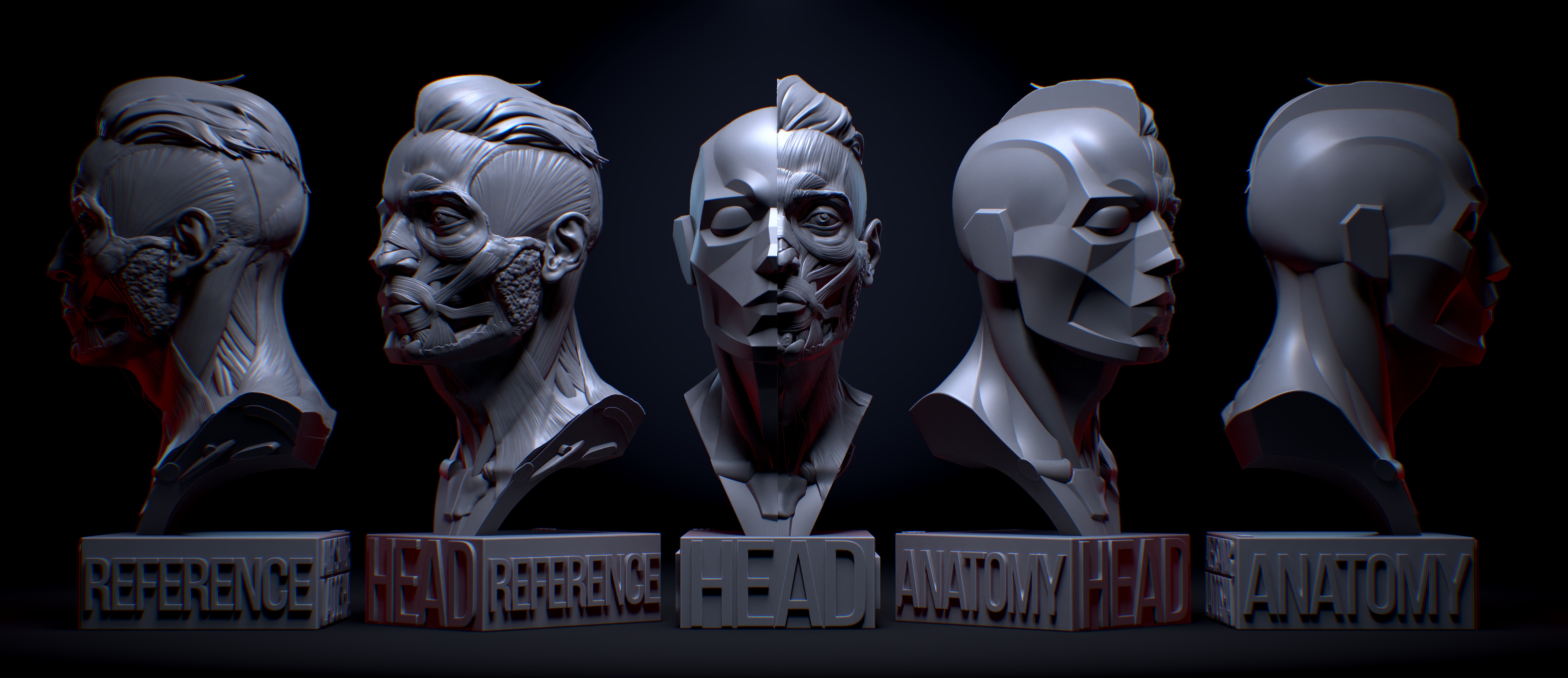 Archivo 3D La cabeza. Anatomía facial para impresión 3D. STL・Modelo de ...