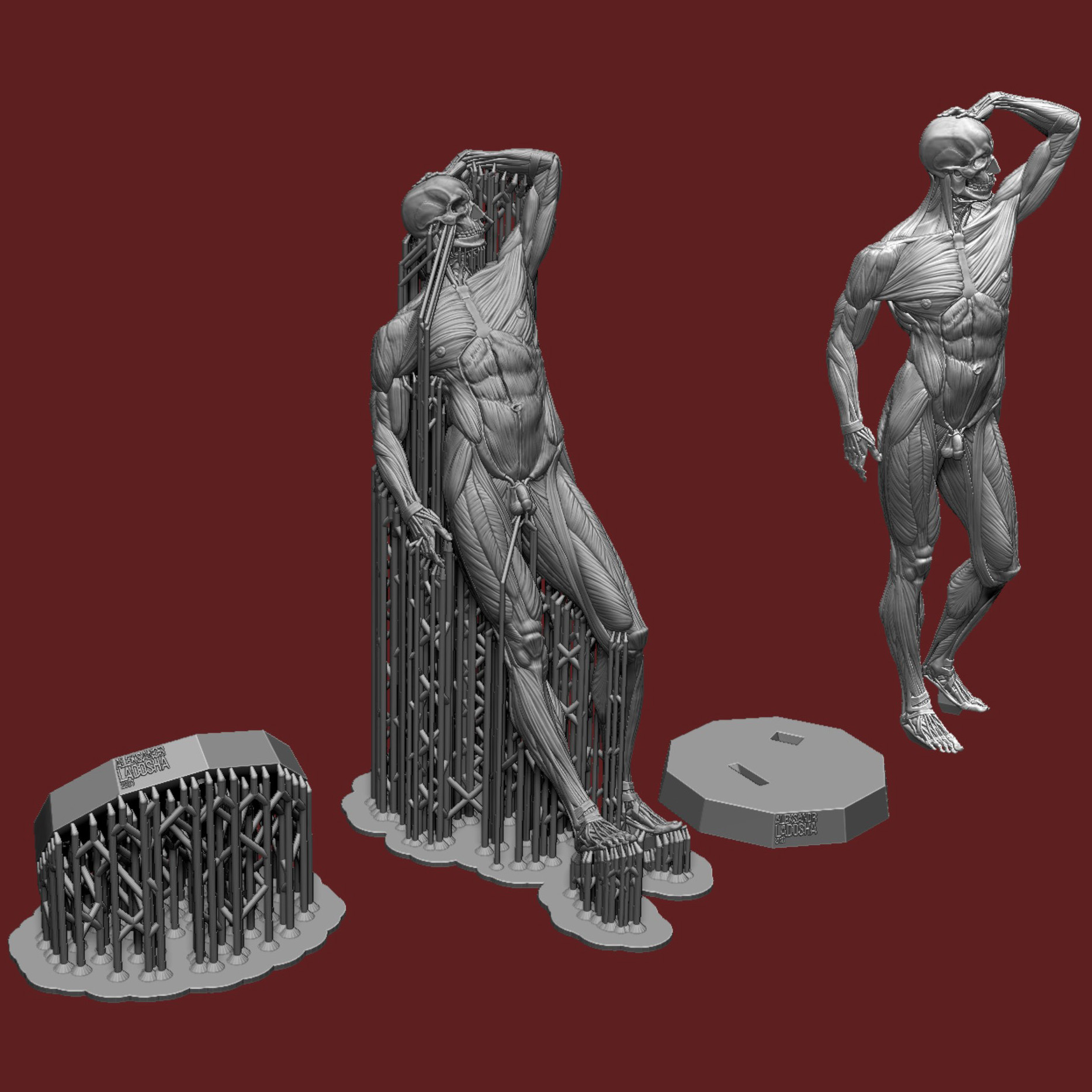 3D file Ecorche for 3d printing. STL 💀・3D print object to download・Cults