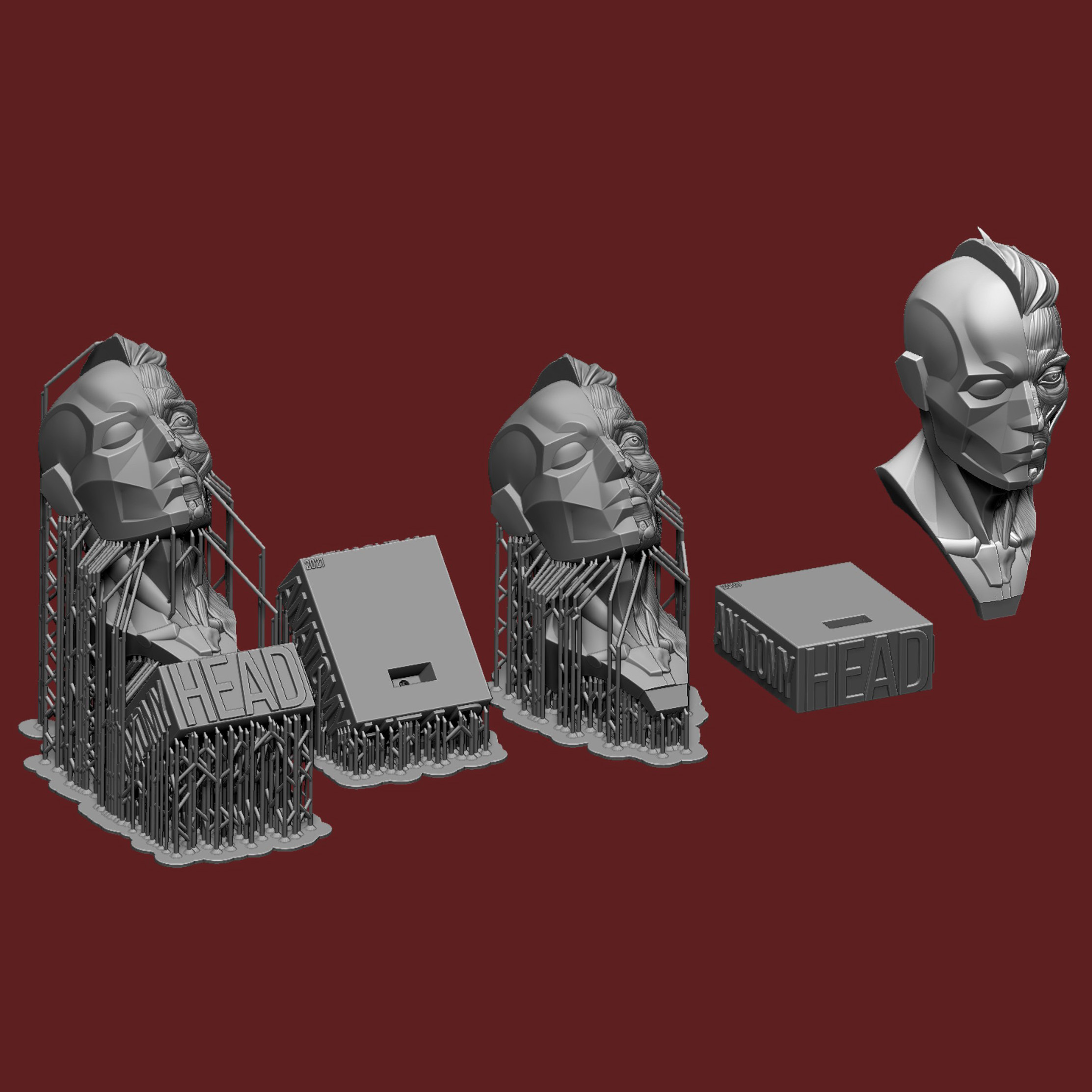 Archivo 3D La cabeza. Anatomía facial para impresión 3D. STL・Modelo de ...