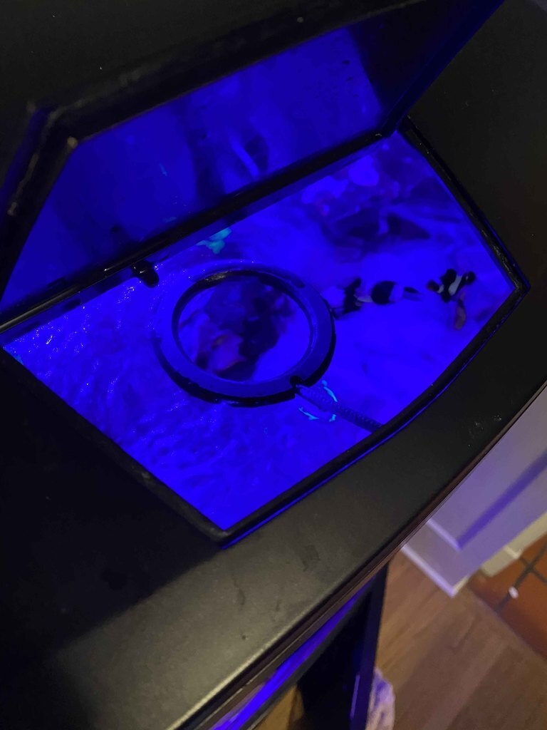 Free STL file Fish Feeding Ring - Biocube 32・3D print object to ...
