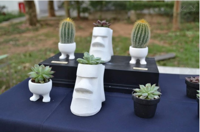 Archivo STL gratuito caminar plantas en maceta 🏠・Objeto para descargar ...