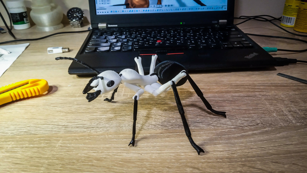 Free 3D file Ant 🐜・3D printer model to download・Cults