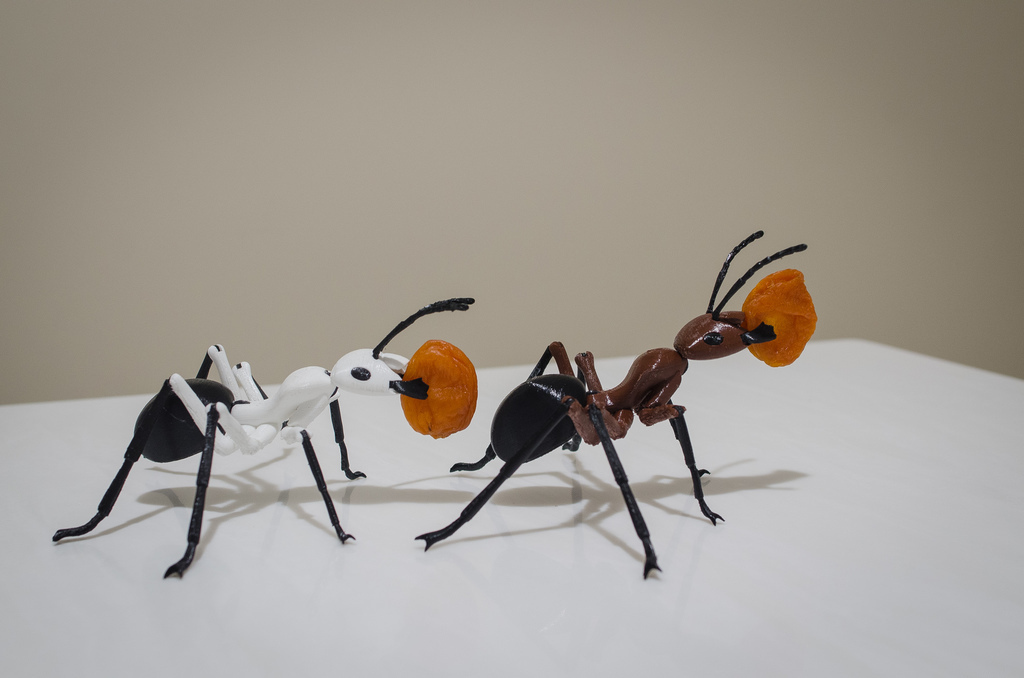 Free 3D file Ant 🐜・3D printer model to download・Cults