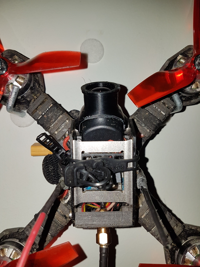 Free 3D file FPV Camera guard for Diatone GT2 (wide angle lens) and ...