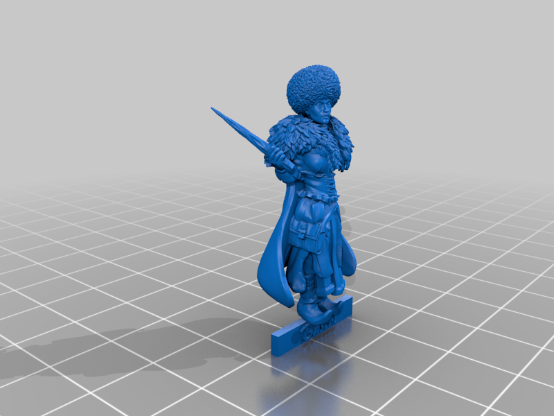 Free 3D file Blood Bowl - Kislev Coach / Witch / Apothecarie ...