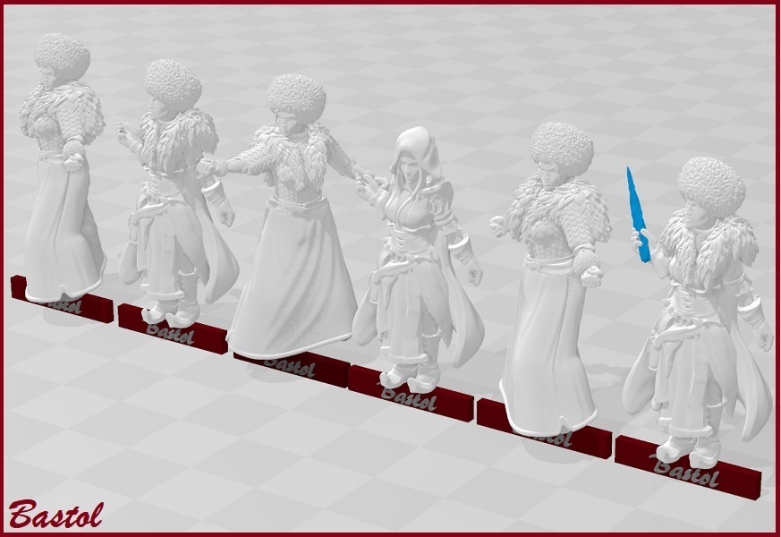 Free 3D file Blood Bowl - Kislev Coach / Witch / Apothecarie ...