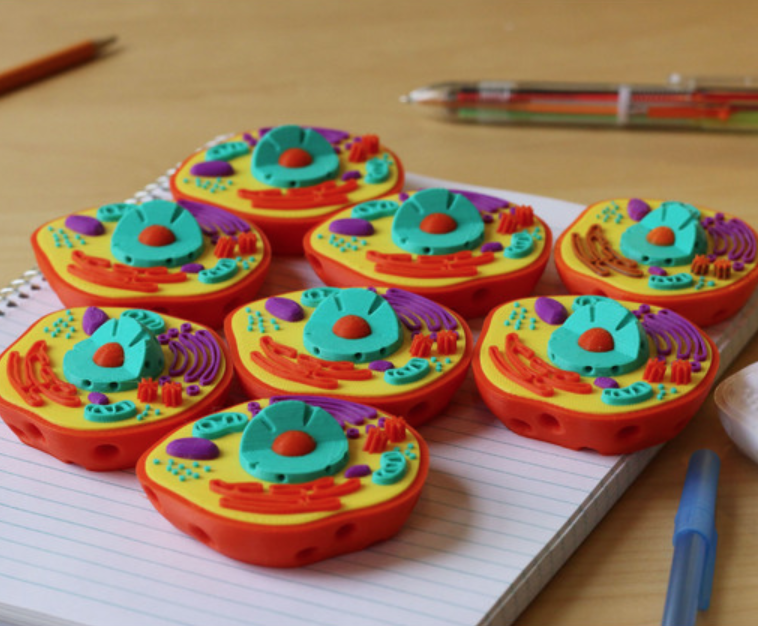 Download free STL file Multi-Color Mini Cell Model • 3D printable ...