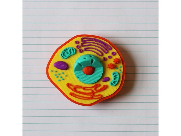 Free STL file Multi-Color Mini Cell Model・3D printing model to download ...