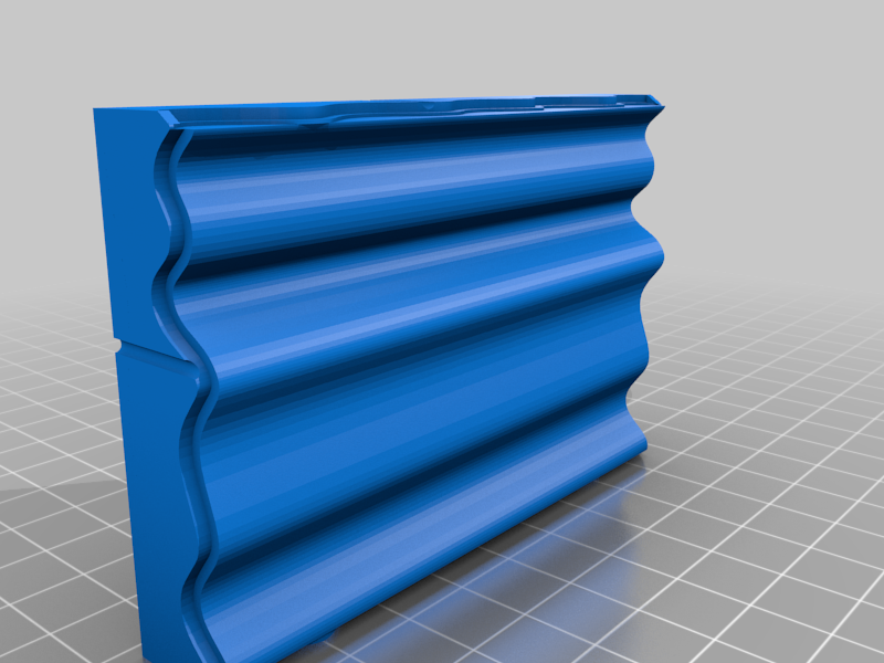 Integumentary System Clay Model